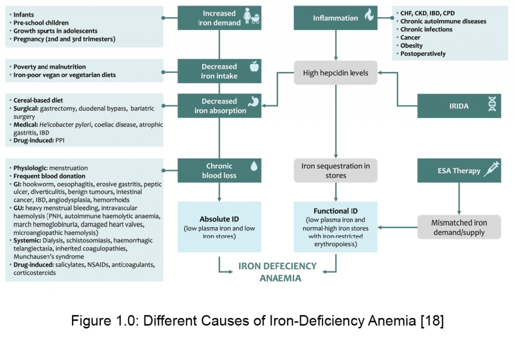 Iron: Maintaining Homeostasis & Implications of Deficiency & Toxicity