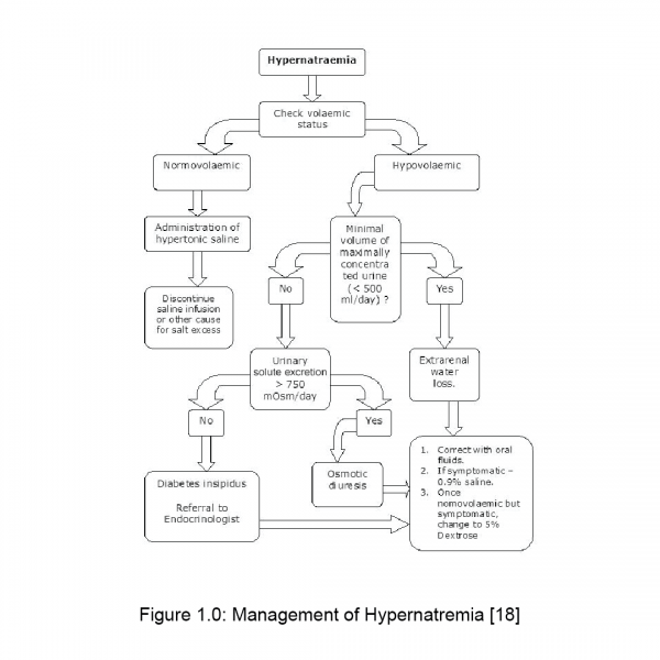 Sodium: The Role of this Vital Electrolyte and Mineral in the Body