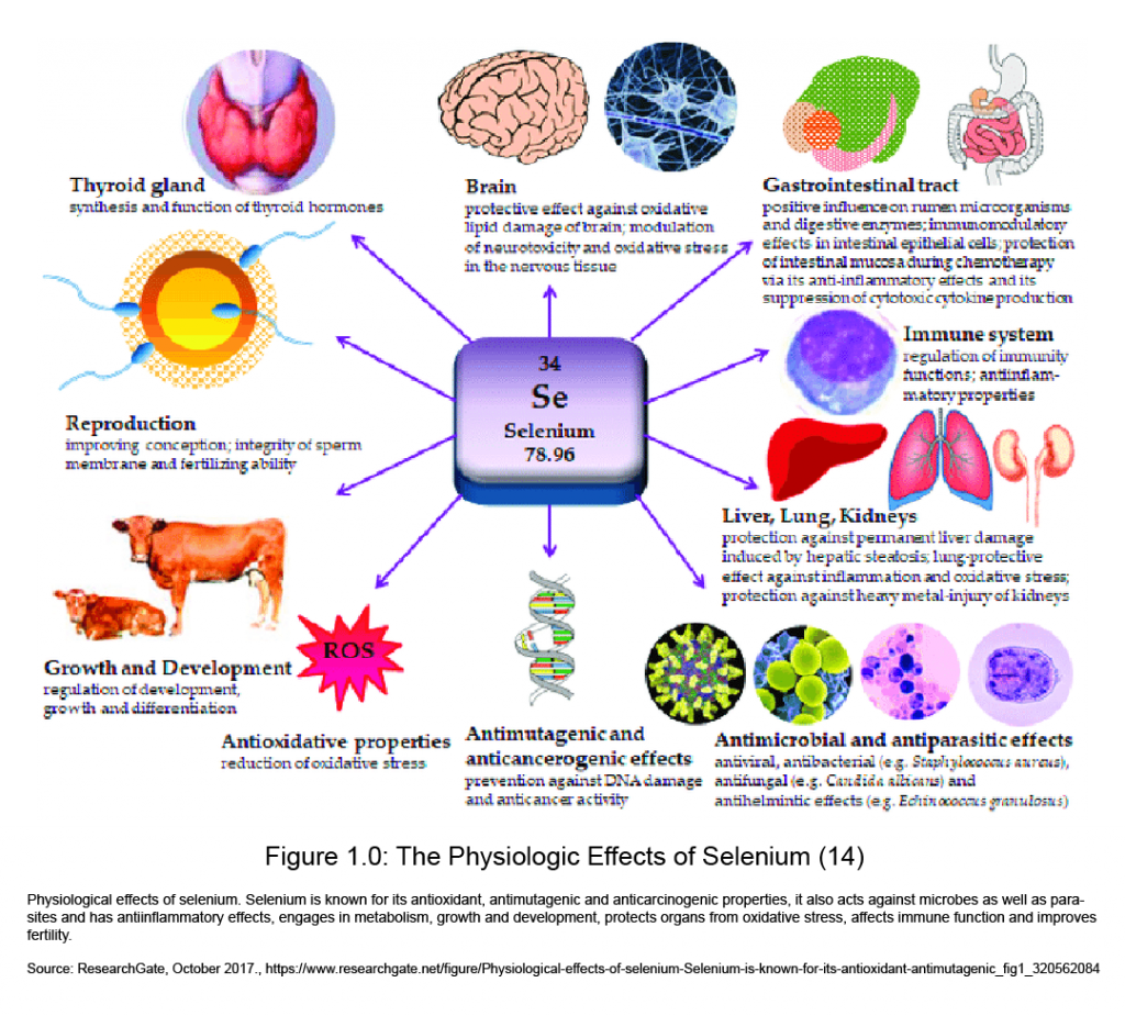 Selenium: A Trace Mineral Critical For Several Physiologic Processes